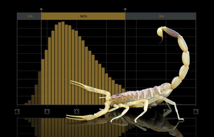 Climate Scorpion – the sting is in the tail